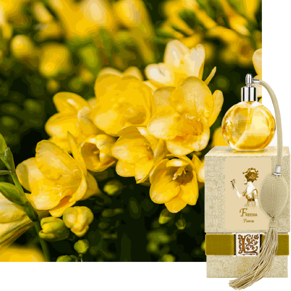 Freesia Collection - It’s complemented by the citrus notes of Bergamot ...